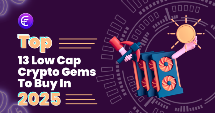 Top 13 Low-Cap Crypto Gems To Buy & Investment Tips In 2024