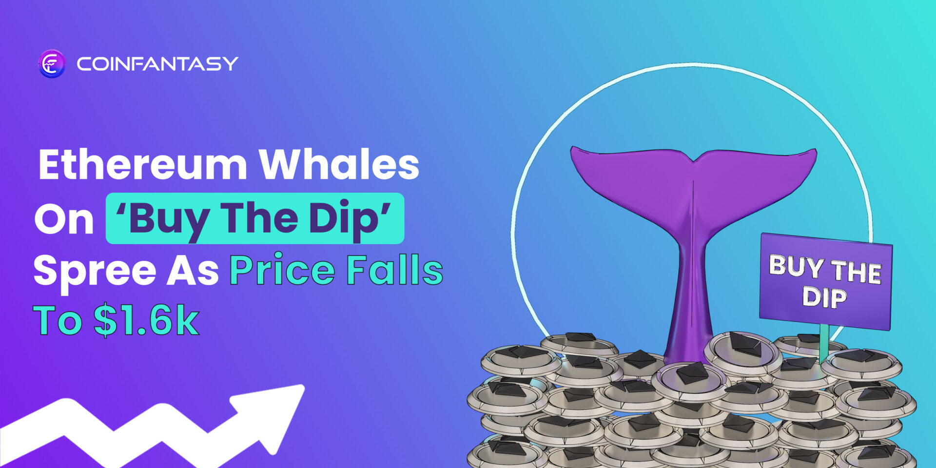 Ethereum Whales Seize Buying Opportunity as Price Drops